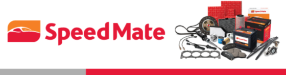 Счастливая жизнь автомобилиста вместе со Speedmate – останні автоновини ...